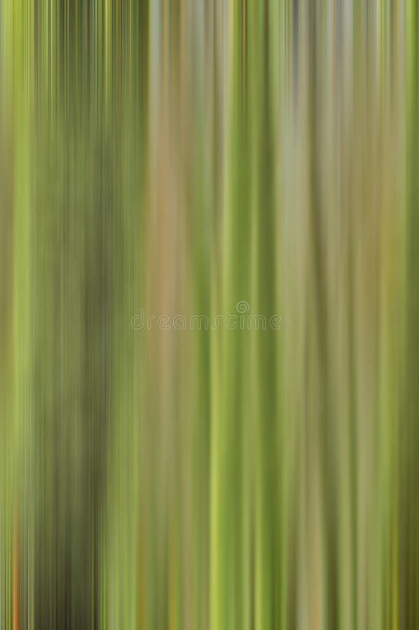 Intentional Camera Movement Landscape with Trees Stock Illustration ...