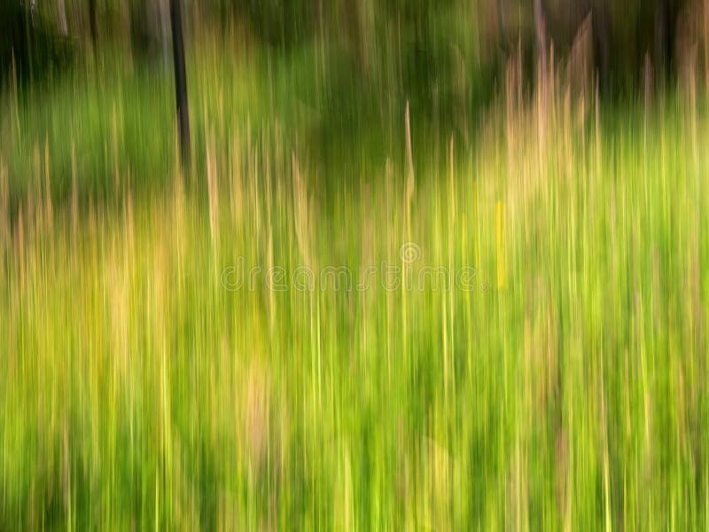 Intentional Camera Movement of Some Grass Stock Image - Image of bright ...