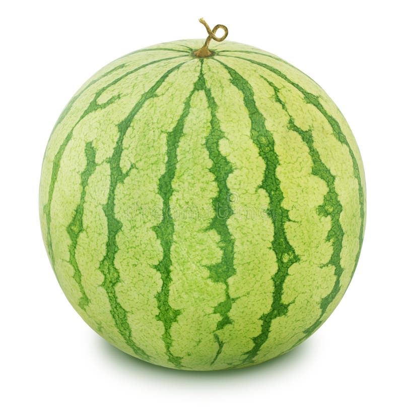 Intera Anguria Su Un Fondo Bianco Fotografia Stock - Immagine di luce ...