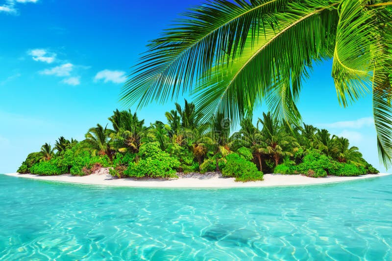 Intera Isola Tropicale All'interno Dell'atollo in Oceano Indiano ...