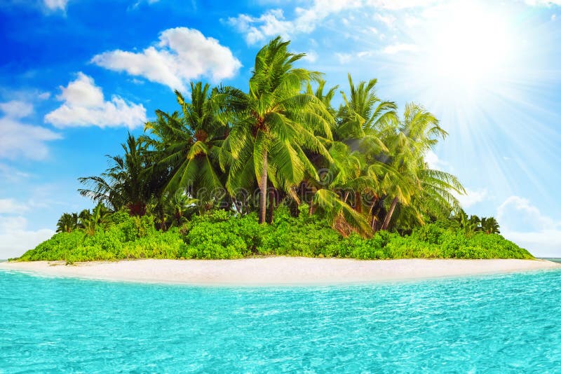 Intera Isola Tropicale All'interno Dell'atollo in Oceano Tropicale ...