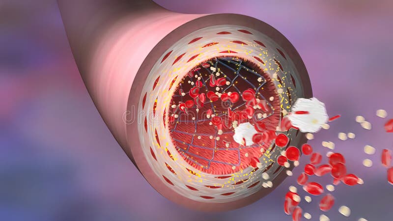Interactions of Synthetic Polymers with Cell Membranes and Model ...
