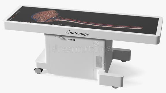 Interactive Anatomage Medical Table with Brain Display Stock Image ...