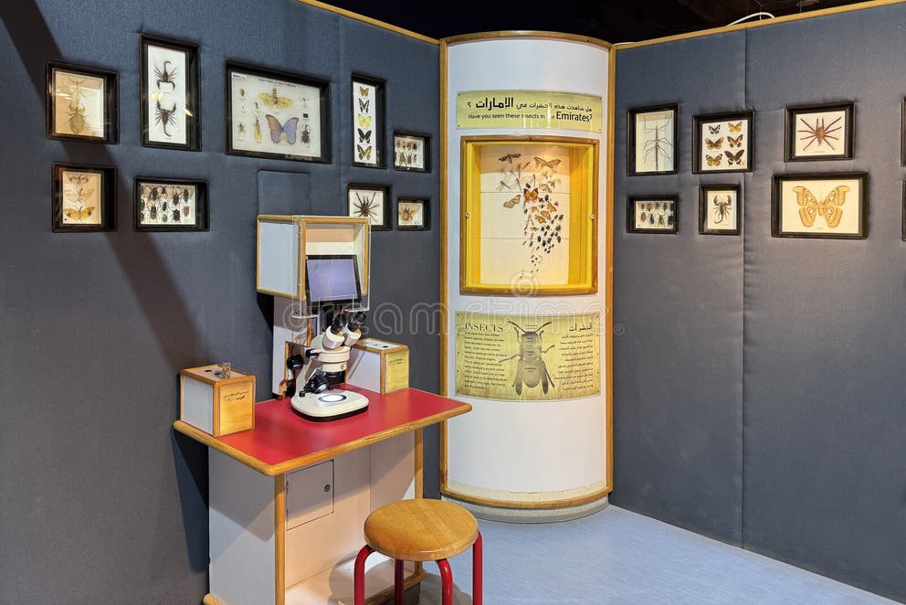 Interactive Interior of Sharjah Science Museum, Filled with Educational ...