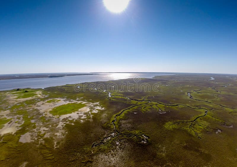 Intercoastal Marschland stockfoto. Bild von umgebung - 40815580