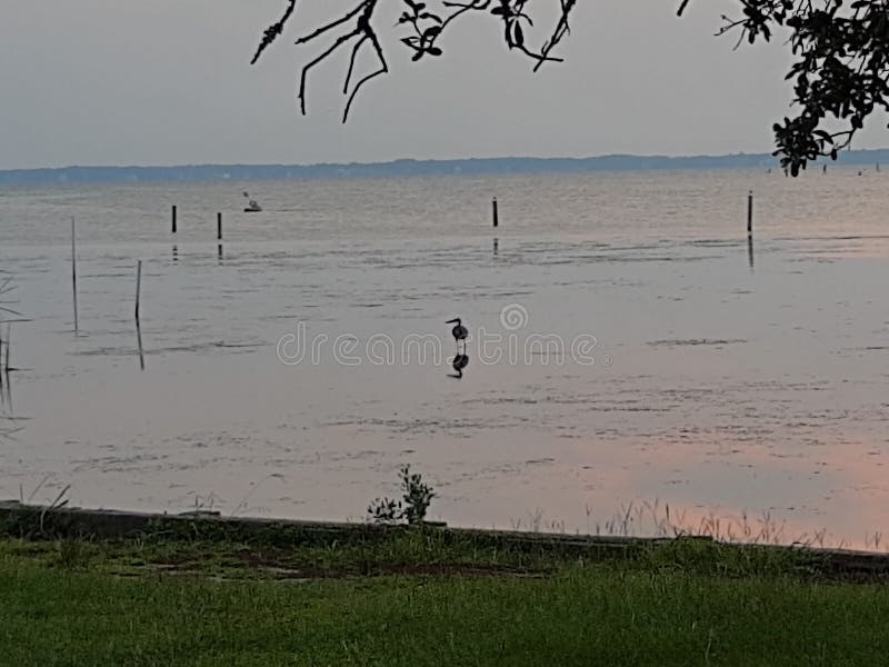 Intercoastal waterway stock photo. Image of lake, wind - 252982936