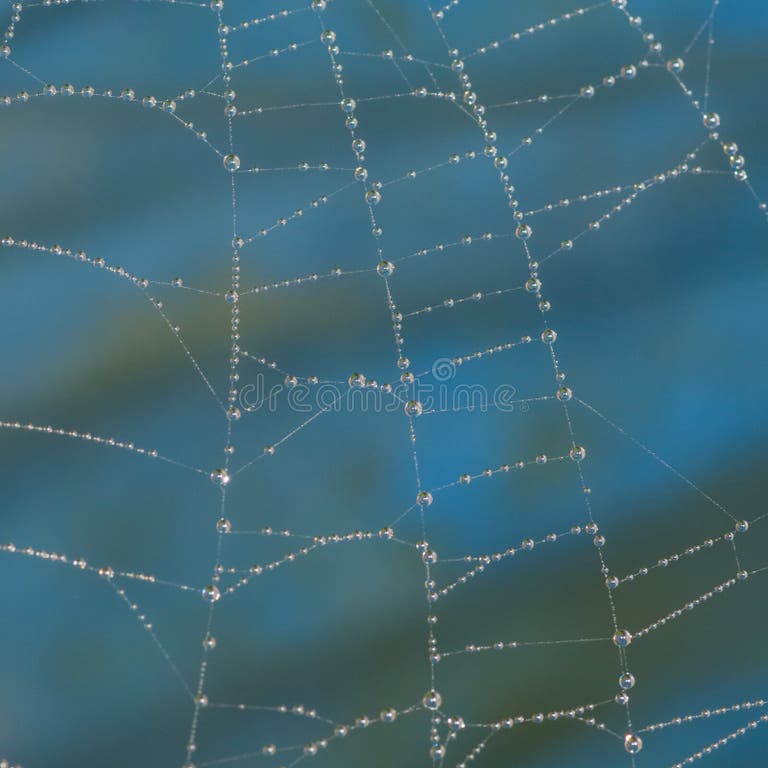 Interconnection stock photo. Image of macro, liquid, droplet - 38557256