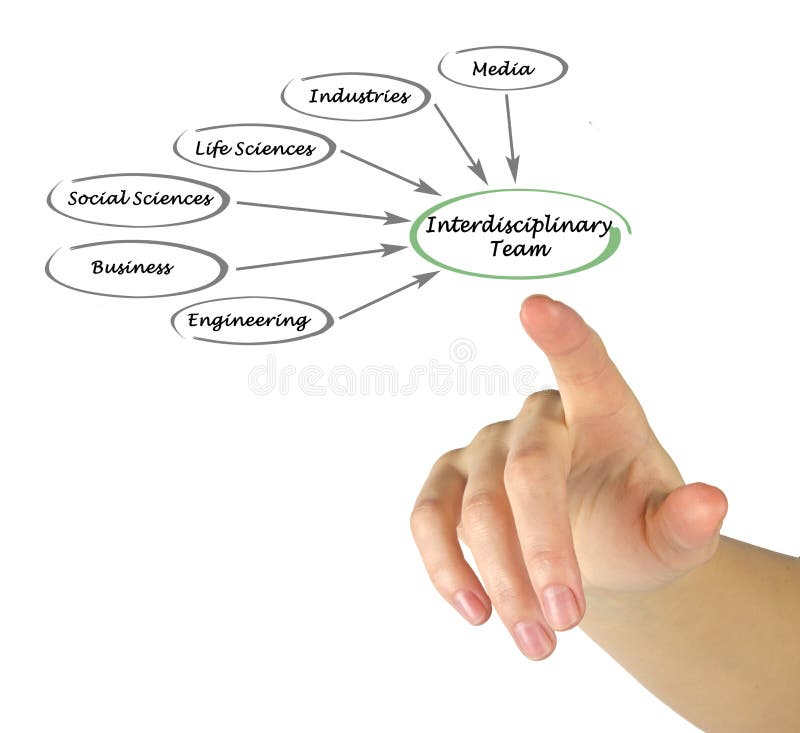 Interdisciplinary Team stock photo. Image of management - 85641000