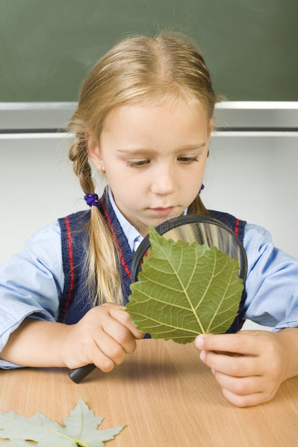 Interesante foto de archivo. Imagen de clase, estudiante - 2947692