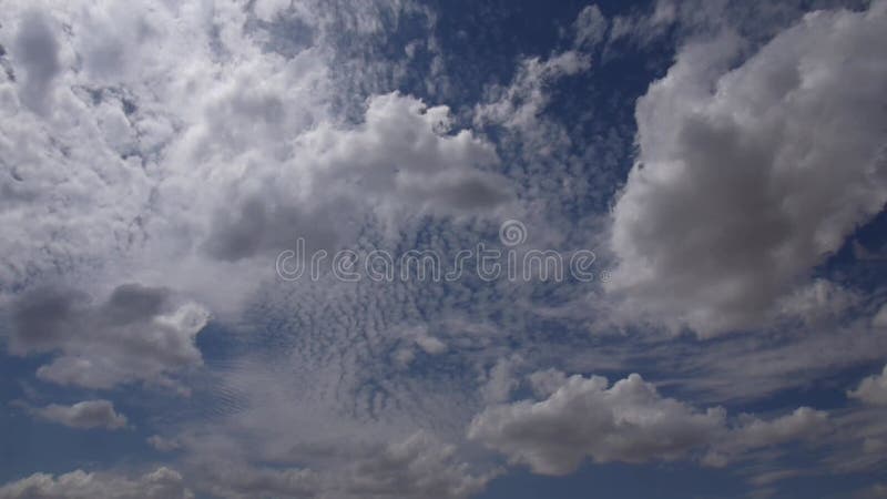 Bright Clumps of Lactic Acid Bacteria in Dairy Starter Culture Under ...