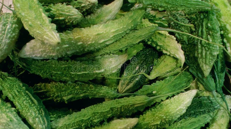 Interesting cucumbers stock photo. Image of bitter, business - 162907672