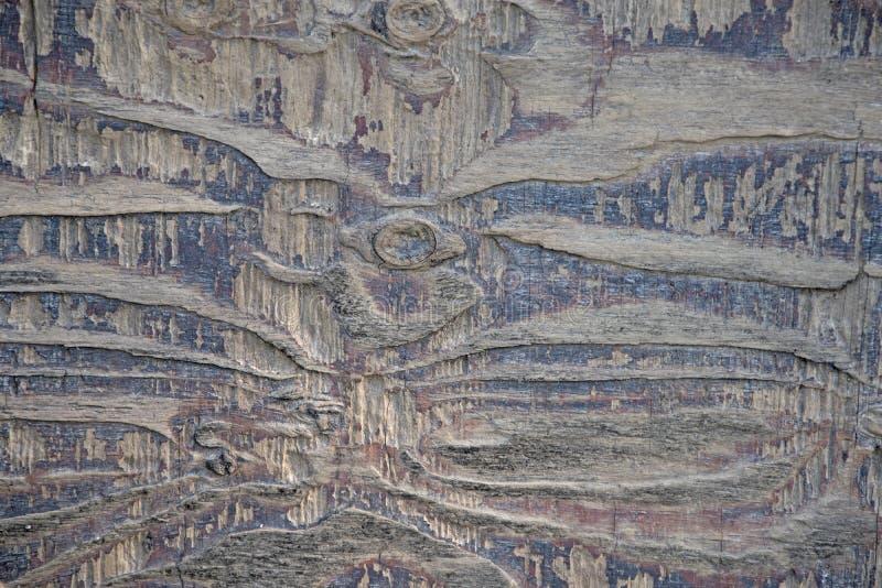 Interesting Engraved Wood Texture, Old Stock Image - Image of textured ...