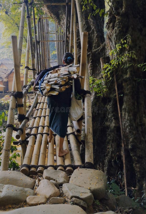 How Big Tree To Plant Street Stock Photos - Free & Royalty-Free Stock ...