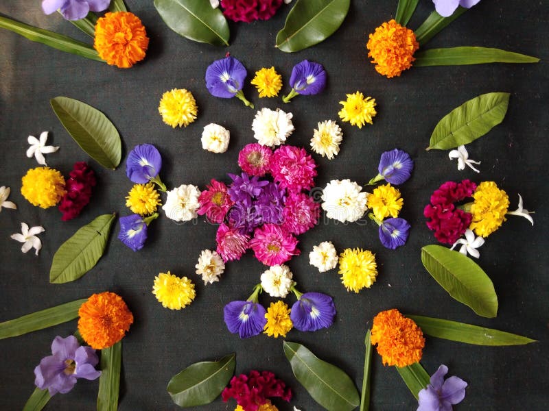 Interesting Flower Design-5 Stock Photo - Image of vivid, maroon: 202236966