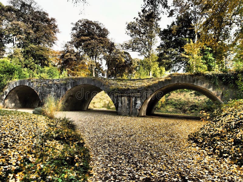 Interesting Forest Park on Which There is a Bridge and Nicely Tuned in ...