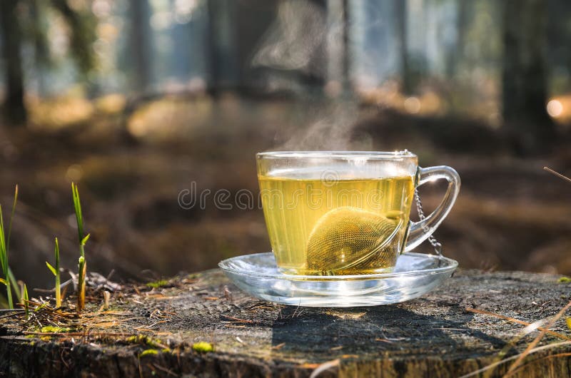 Interesting Idea for an Autumn Drink. Stock Image - Image of forest ...
