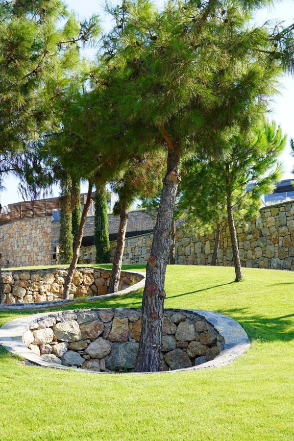 An Interesting Interior Solution - Planting of Trees in a Stone Pit in ...