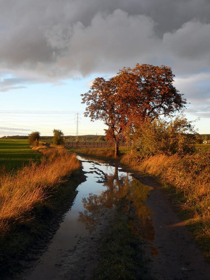 Autumn Early Evening between Fields Stock Image - Image of light ...