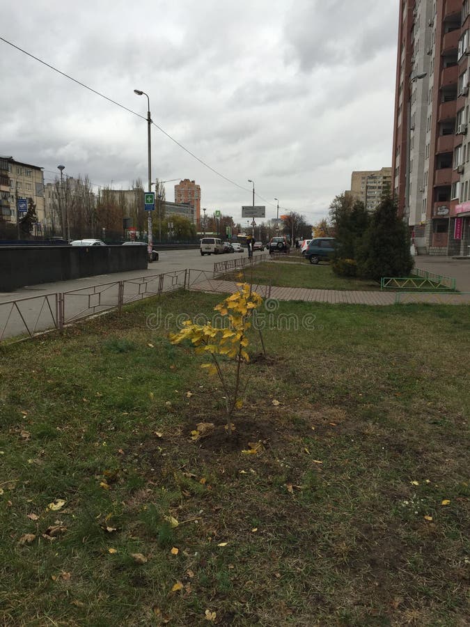 Interesting Objects in City Editorial Stock Photo - Image of objects ...