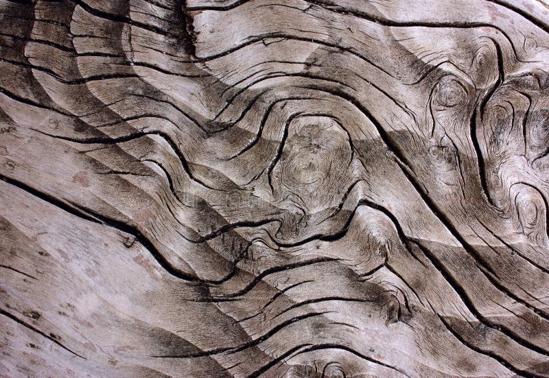 Interesting Patterns on Sea Rocks Stock Image - Image of muir, color ...