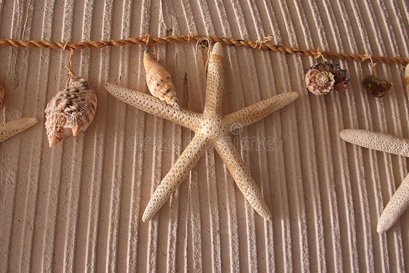 Interesting Original Seaside Decoration with Shells and Starfishes on a ...