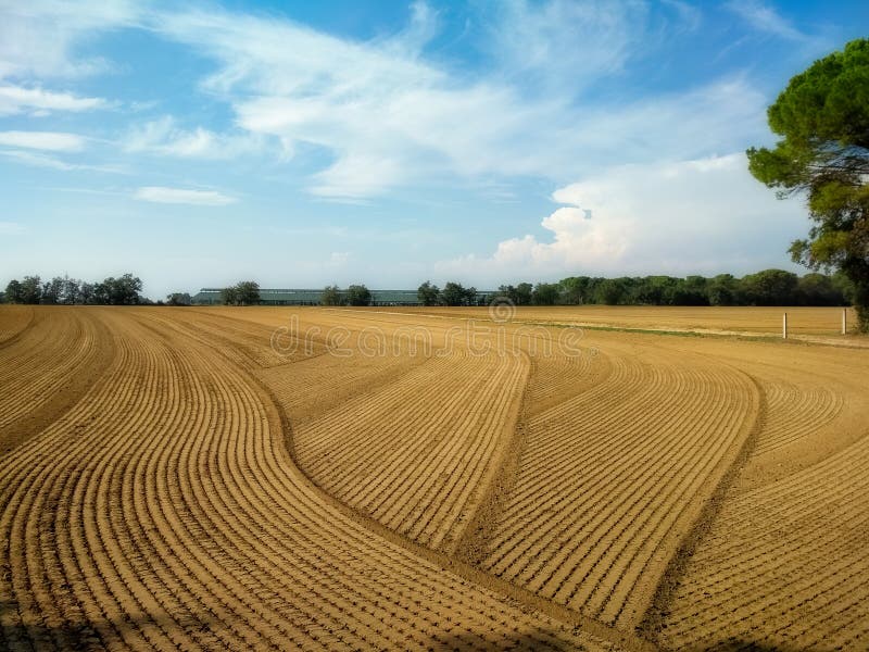 Interesting Pattern in the Plow Field Stock Image - Image of farm ...