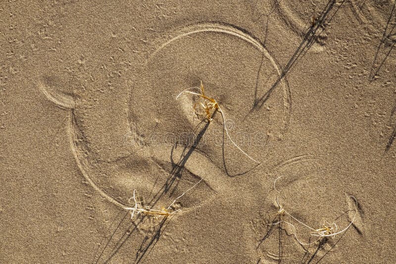 Interesting Patterns on Sand Surface Made by Wind and Stick. Nature ...