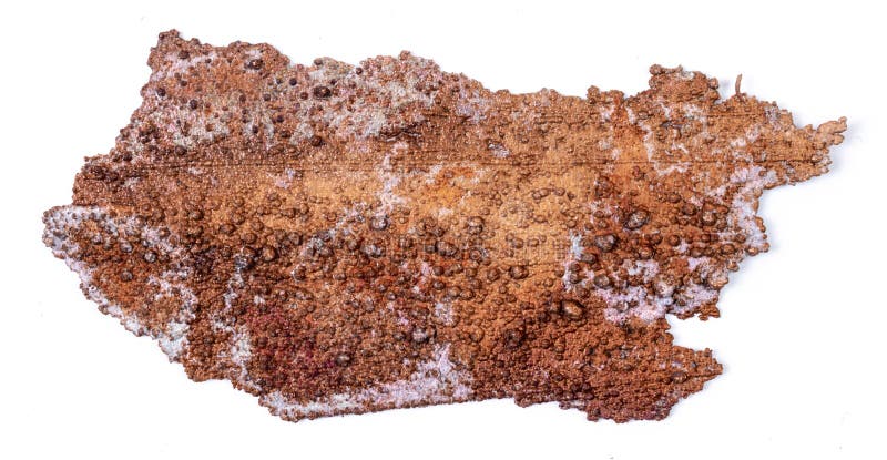 An Interesting Piece of Copper on a White Isolated Background Stock ...