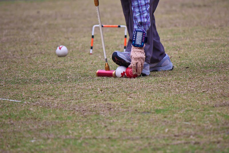 Croquet stock photo. Image of equipment, ball, court - 29947964
