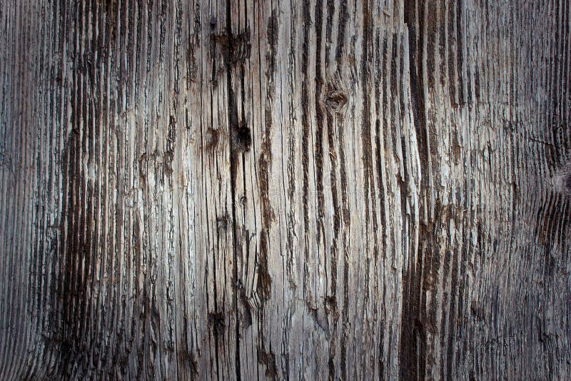 Interesting Real Spruce Textured Panel Stock Image - Image of pattern ...