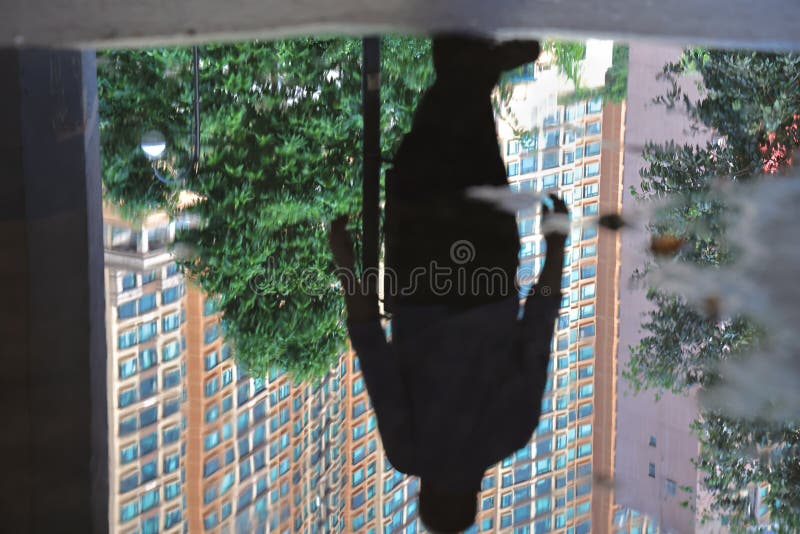 Interesting Reflection in the Puddle on the Ground Block Pavement ...