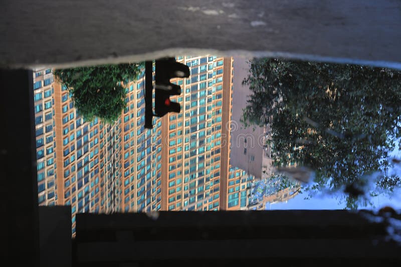 Interesting Reflection in the Puddle on the Ground Block Pavement ...