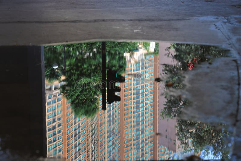 Interesting Reflection in the Puddle on the Ground Block Pavement ...