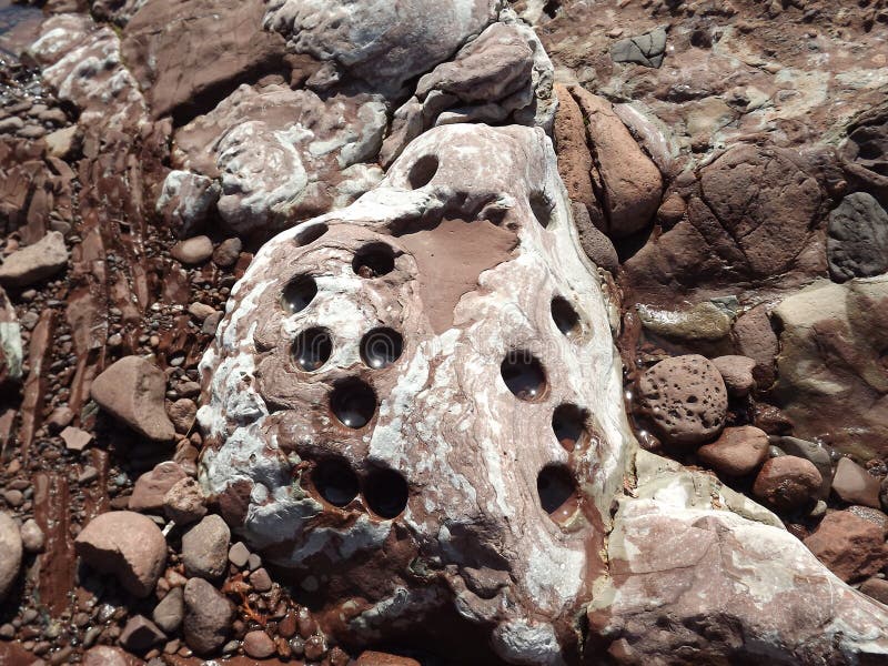 Interesting Rock stock image. Image of nature, earth - 43849087