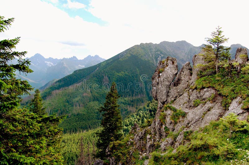 Interesting Rocks on the Background of the Picturesque Valley Stock ...