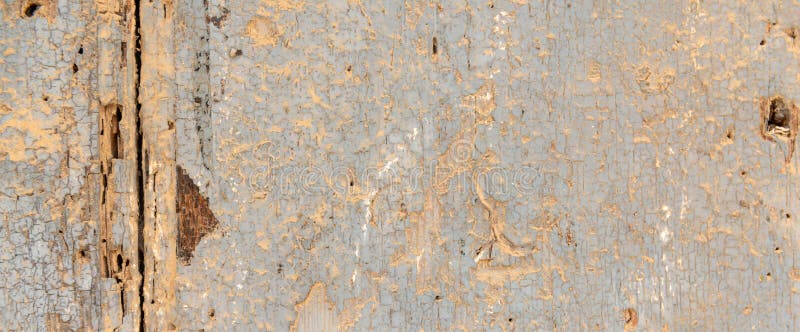 Interesting Texture of a Wooden Surface, Natural Wood As an Elegant ...