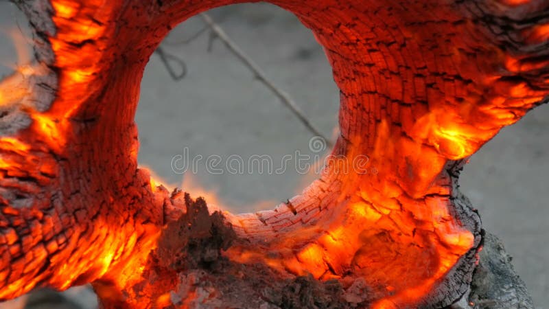 Interesting Unusual Smoldering and Burning Old Tree Stump, Glowing from ...