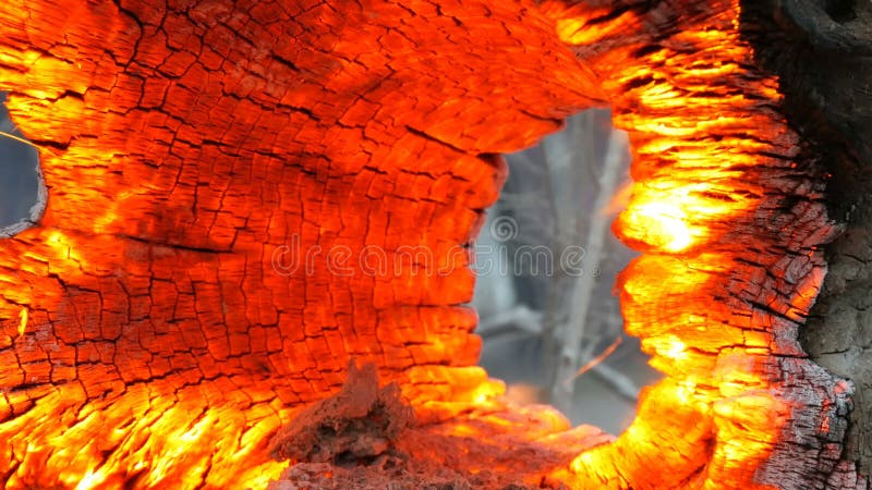 Interesting Unusual Smoldering and Burning Old Tree Stump, Glowing from ...