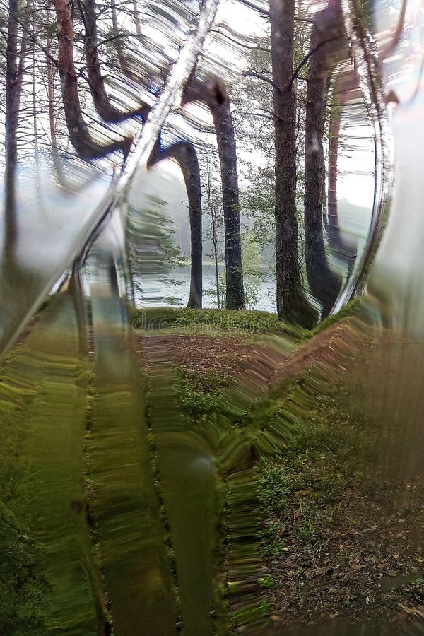 Interesting View of the Forest Trees and the Lake through the Window ...