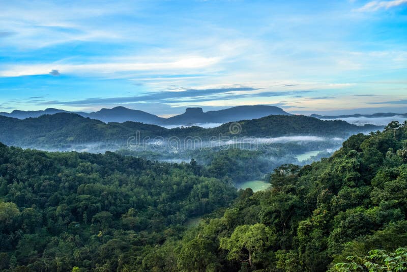 Interesting View stock photo. Image of lovely, lens, nature - 64792960