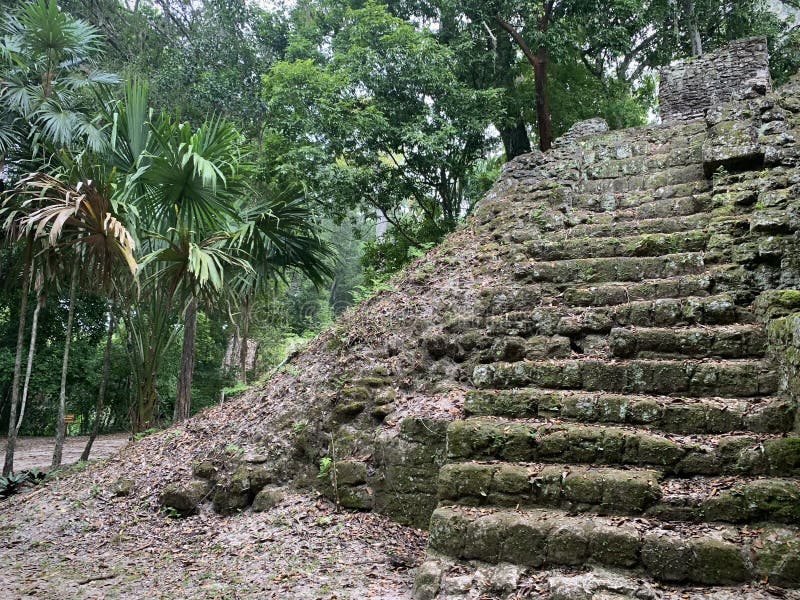 Side View of Pyramid Steps with Jungle in Background (Tikal, Guatemala ...