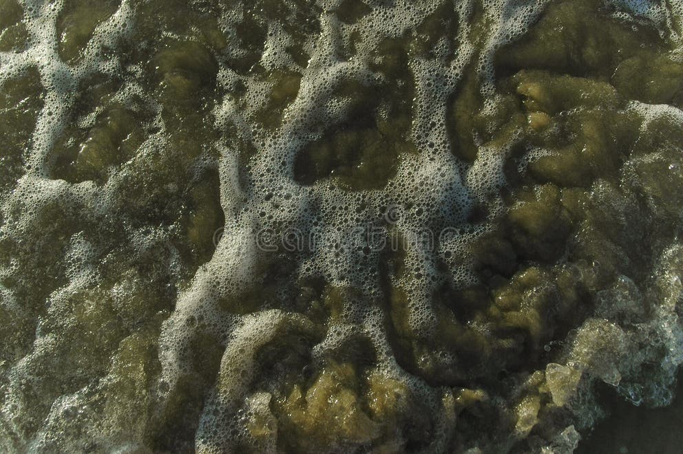 Interesting Waves and Bubbles Stock Image - Image of tropic, shell ...