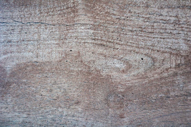 Interesting wooden texture stock image. Image of geology - 251817221