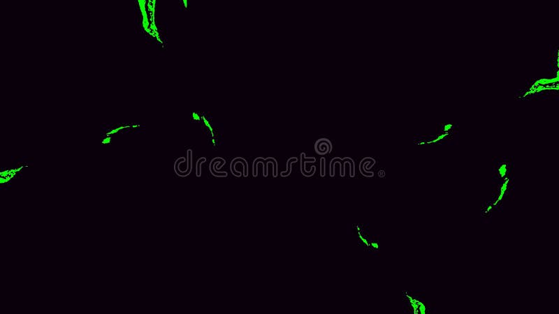 Interference with TV Broadcasting on the Screen with Color ...