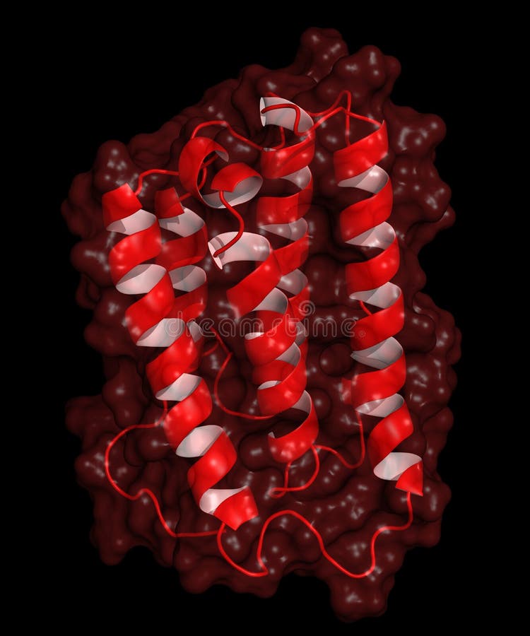 Interferon gamma structure stock illustration. Illustration of health ...