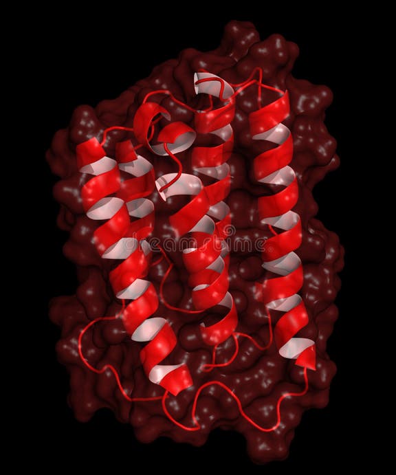 Interferon alpha structure stock illustration. Illustration of immune ...