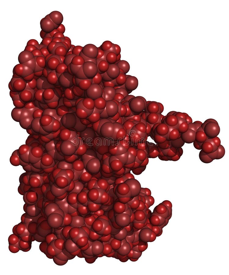 Interferon alpha molecule stock illustration. Illustration of disease ...