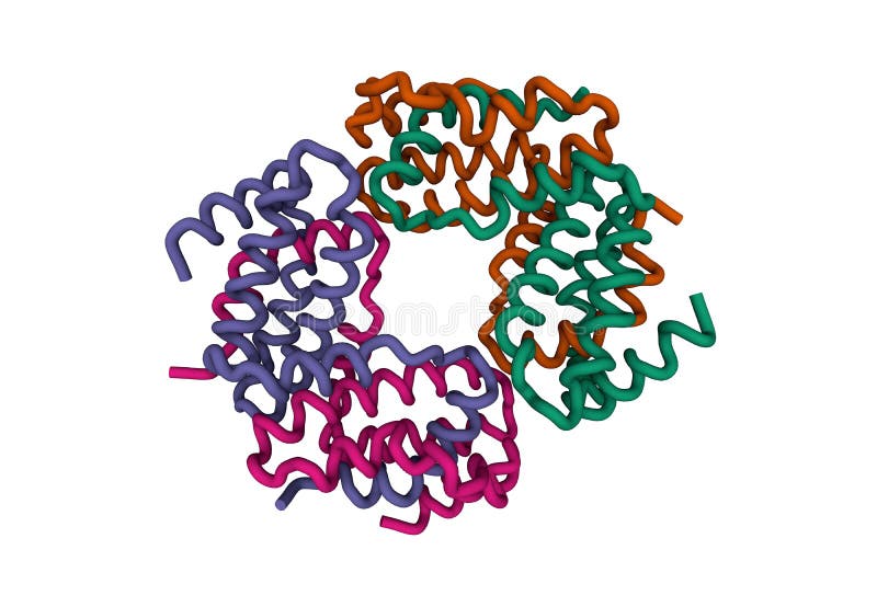 Structure of the Recombinant Human Interferon-gamma Tetramer Stock ...