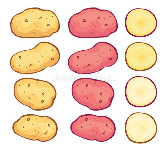 Interi Patate E Tagli Della Patata Illustrazione Vettoriale ...