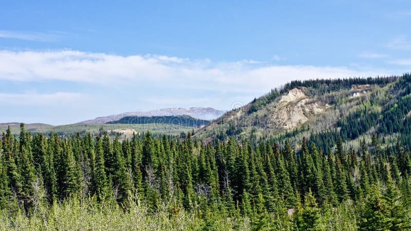 Interior Alaska stock image. Image of vacation, united - 22095917